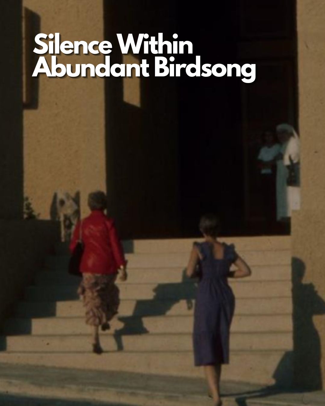 Silence Within Abundant Birdsong