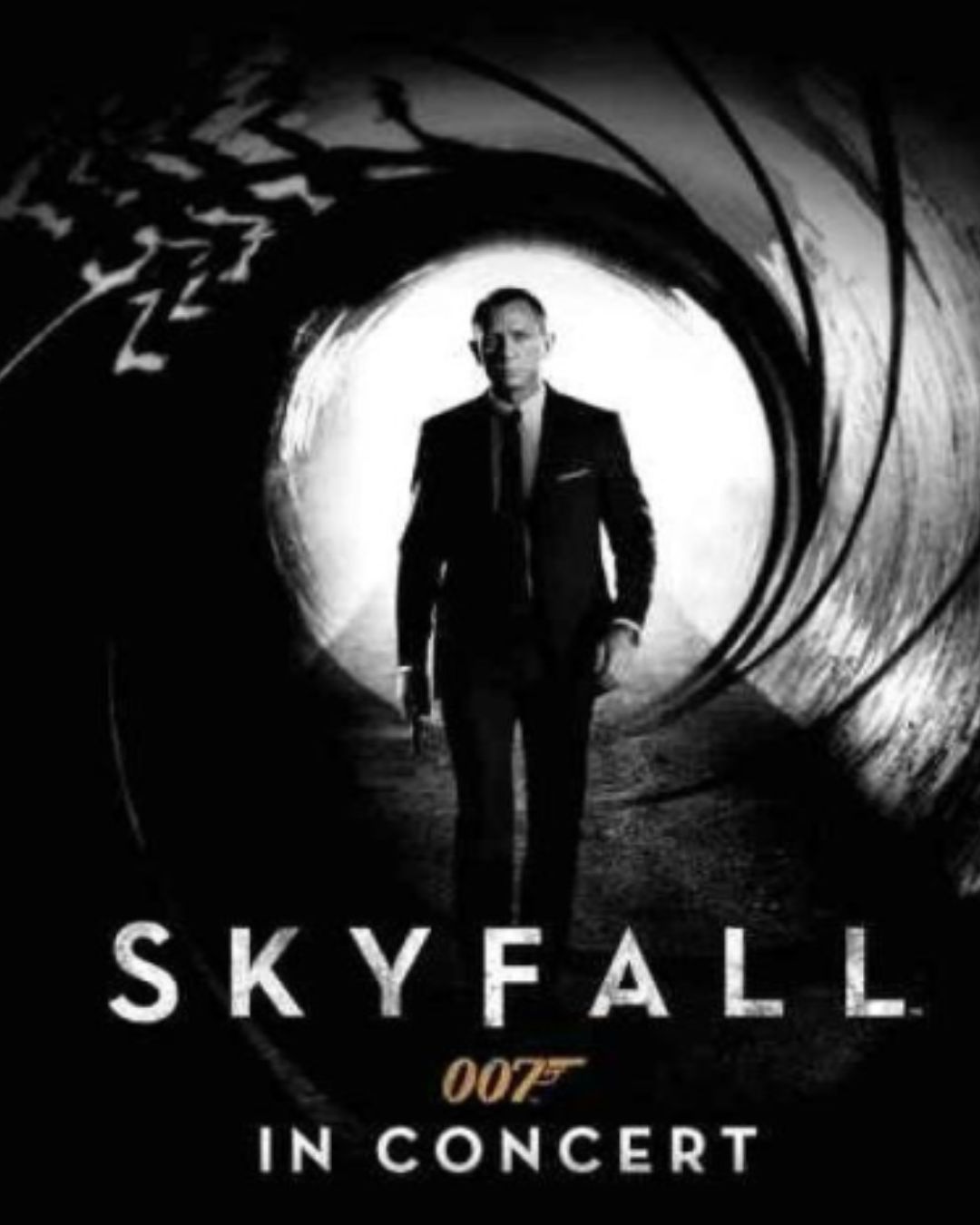 Skyfall in Concert